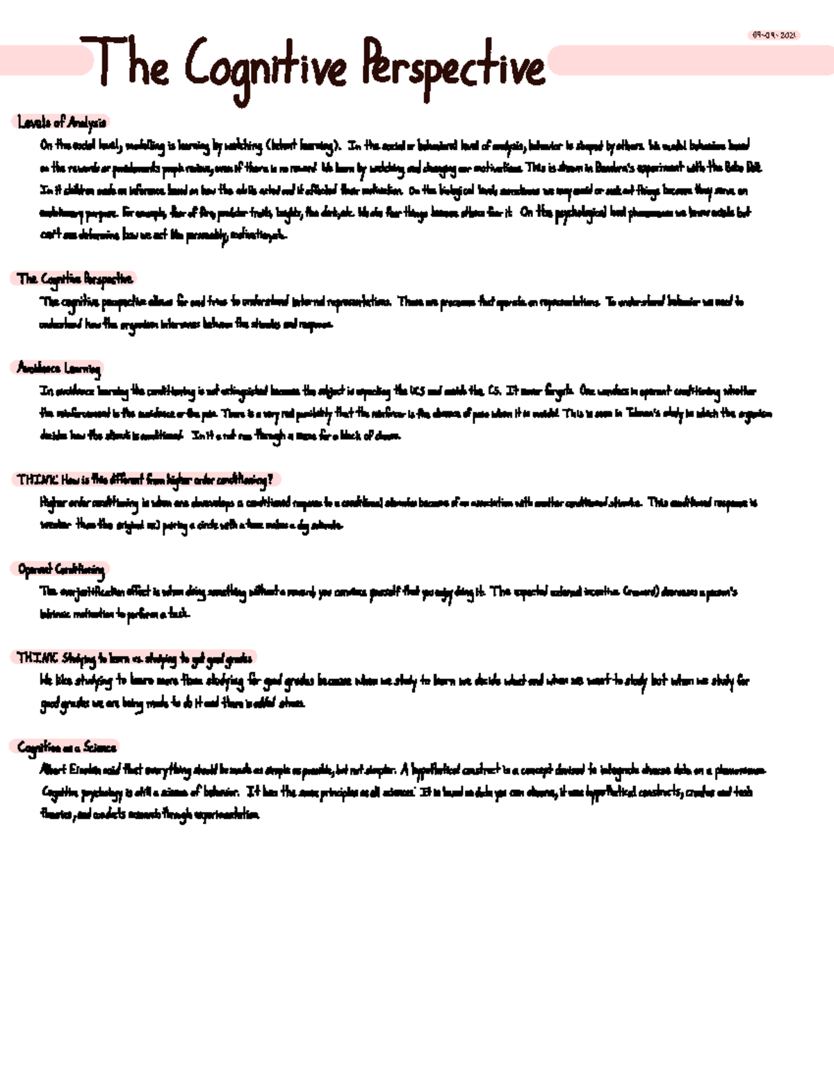 The Cognitive Perspective - nitive Perspective "" -. The Cog Levelsof ...