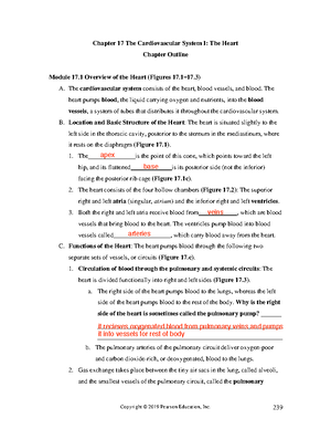 Chap 15 Special Senses Practice Exam Questions with answers - PRS ...
