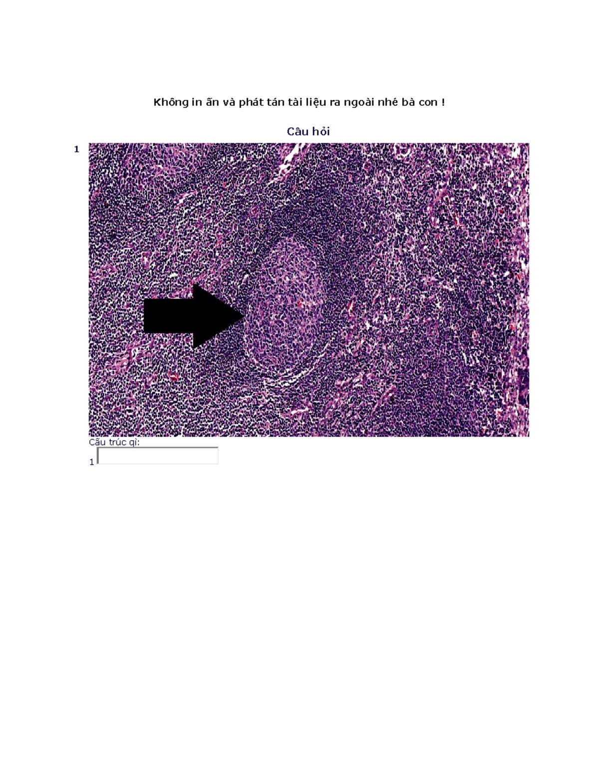 Đề thực hành GPB số 9 - Bà tập ôn GPB - Giải phẫu bệnh học - Không in ...