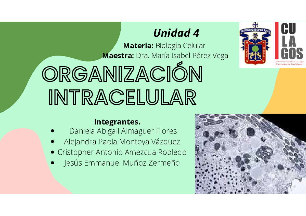 Unidad 4 Exposición - ORGANIZACIÓN INTRACELULAR Integrantes. Unidad 4 ...
