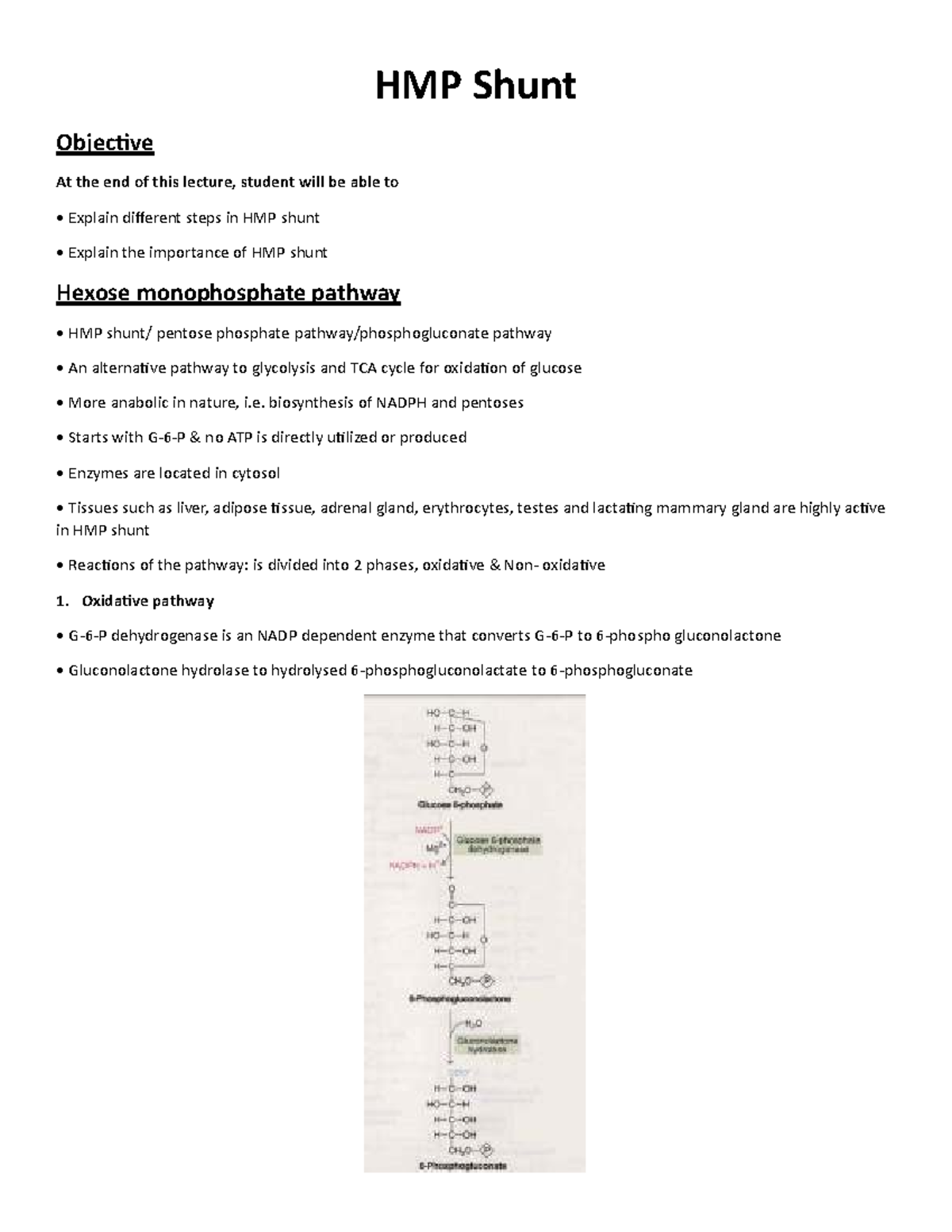 Sem 01 Pharmacy HMP shunt - Objective HMP Shunt At the end of this ...