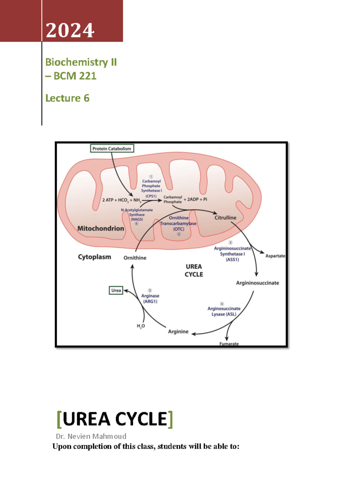 Lecture 6 Urea cycle - lec 6 - Upon completion of this class, students ...