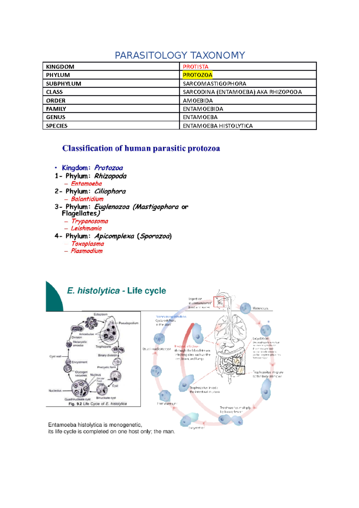 Parasites taxonomy parasitology - PARASITOLOGY TAXONOMY KINGDOM ...