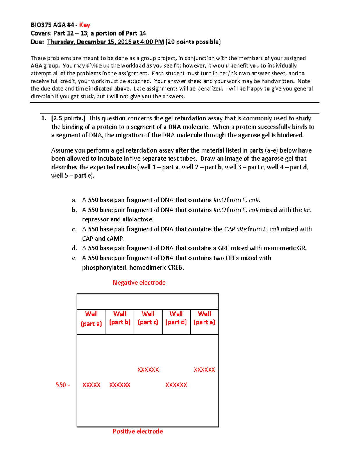 Aga 4 Key Genetics Warning Tt Undefined Function 22 Warning Tt Undefined Function 22