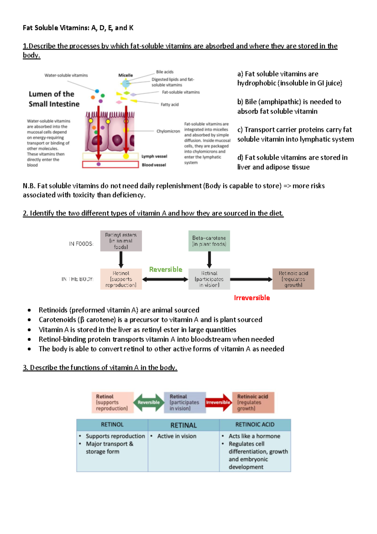 FOOD2000 3 - Lecture notes 1-24 - Fat Soluble Vitamins: A, D, E, and K ...