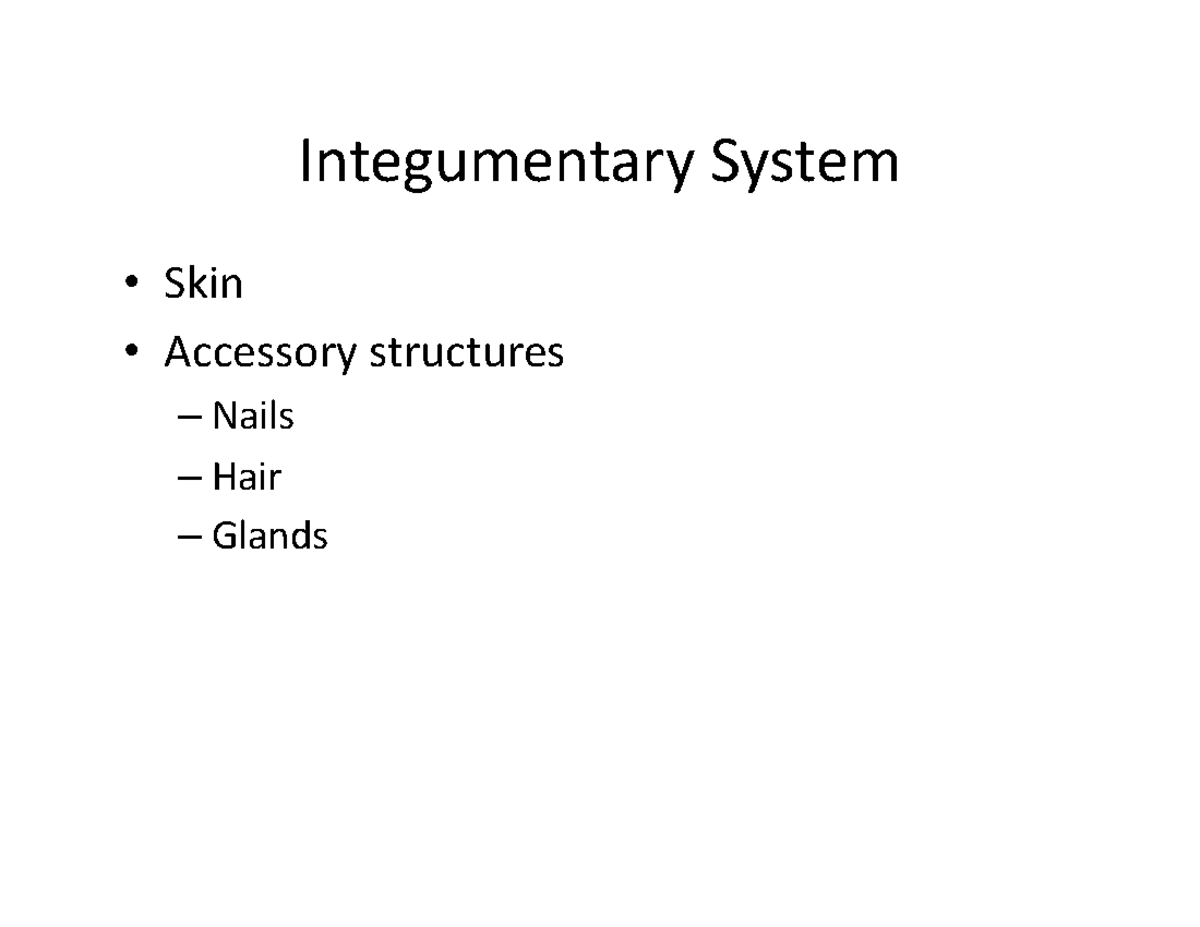 Ch 5 ppt - Ppt slide - Integumentary System • Skin • Accessory ...