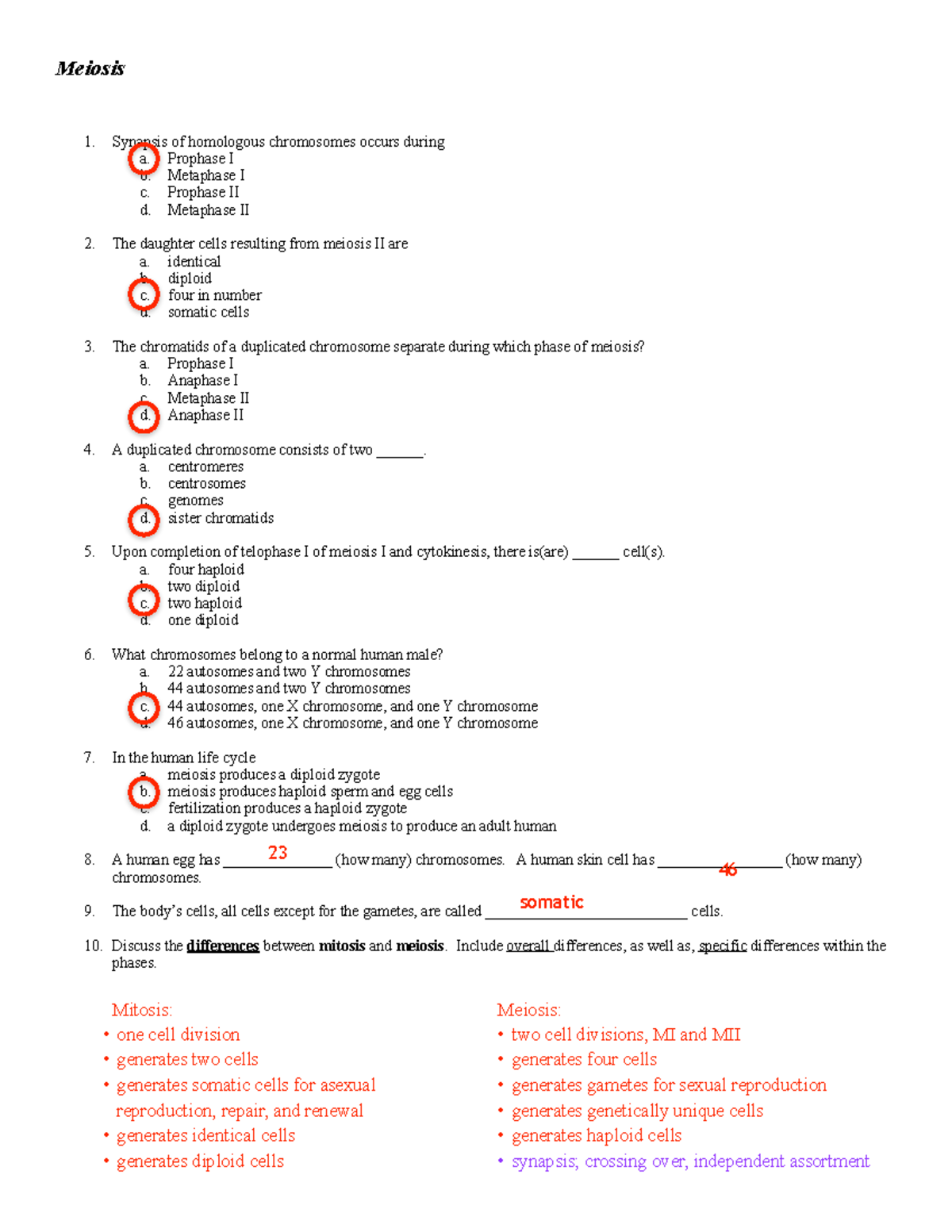 Meiosis - Practice Answers - Meiosis Synapsis of homologous chromosomes ...