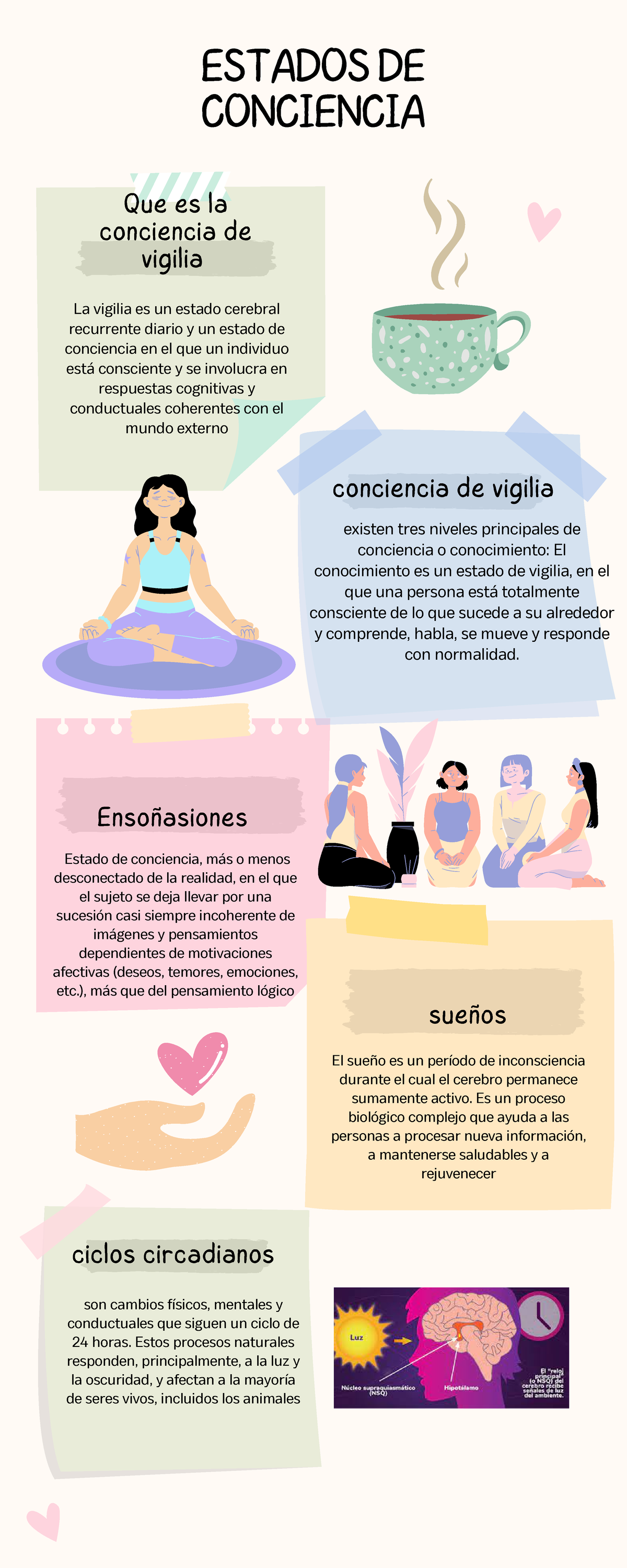 Infografia De Estados De Conciencia Estados De Conciencia Que Es La