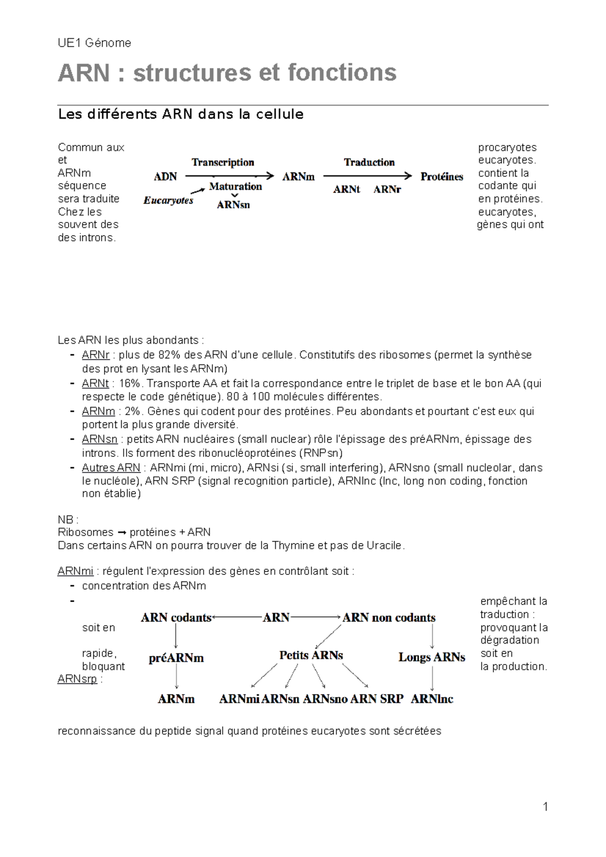 ARN Cours du professeur Langin - ARN : structures et fonctions Les ...