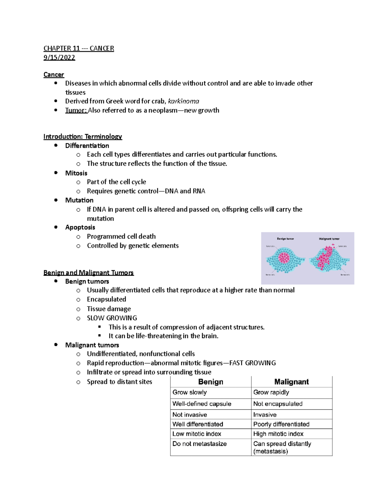Cancer - Lecture and powerpoint notes - CHAPTER 11 - CANCER 9/15 ...