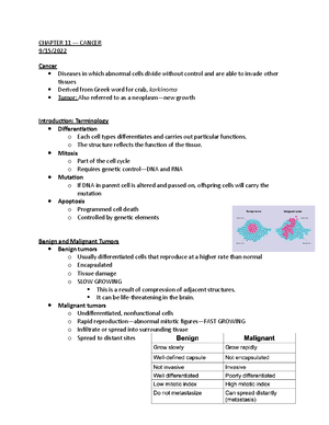 Chapter 4 Altered Cellular and Tissue Biology - pathogenic changes Ø ...