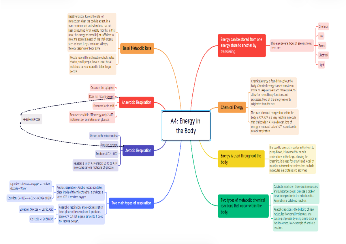 A4 Energy in the Body Mindmap - 4300HSCIFC - Studocu