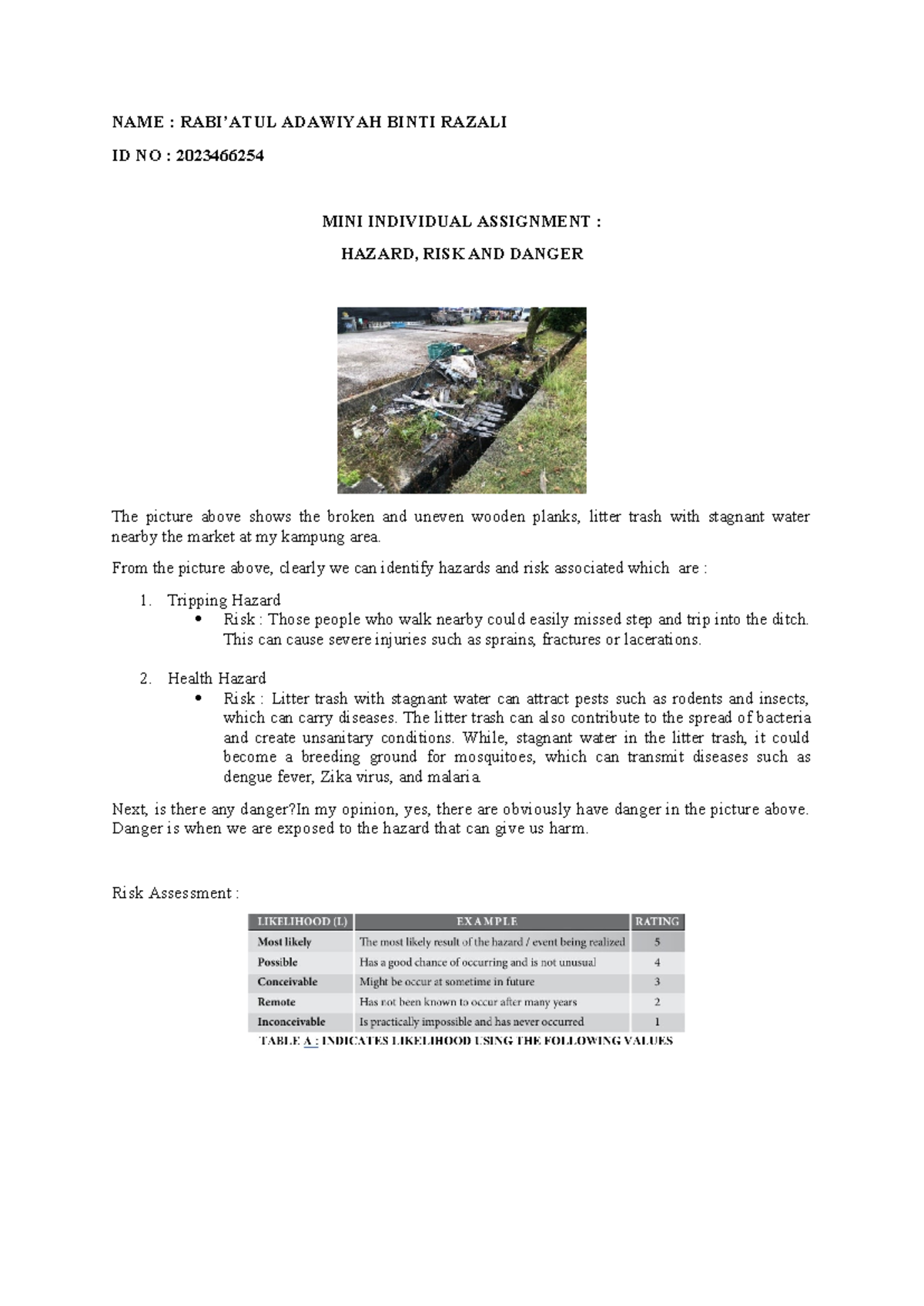 MINI Individual Assignment Hazard, RISK AND Danger EEE451 RABI'ATUL ...