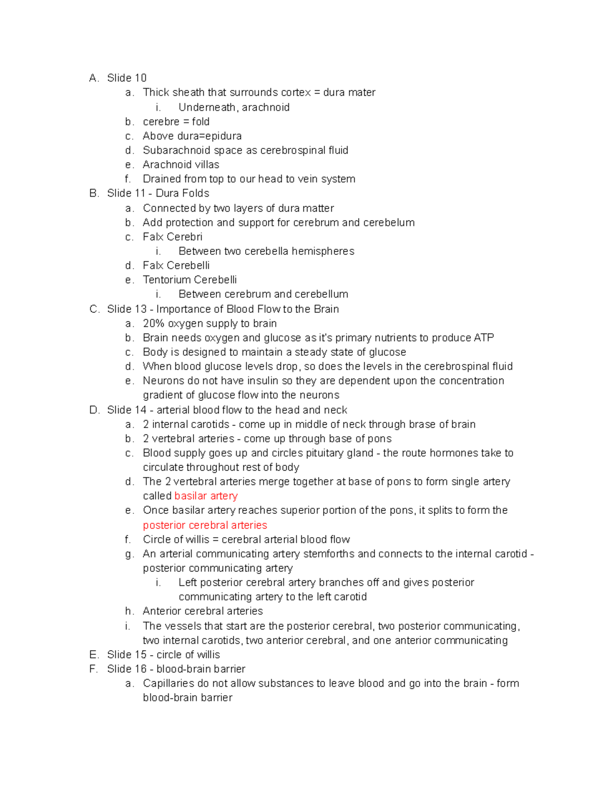 Anatomy Chapter 13 Notes - A. Slide 10 a. Thick sheath that surrounds ...