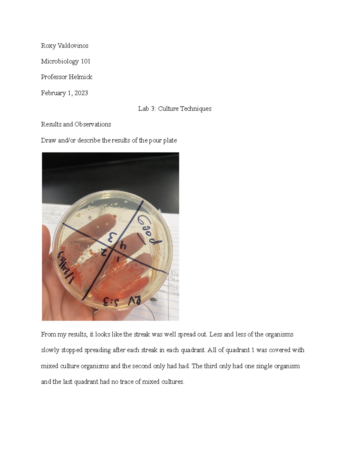 Lab 3 Culture Techniques - Roxy Valdovinos Microbiology 101 Professor ...