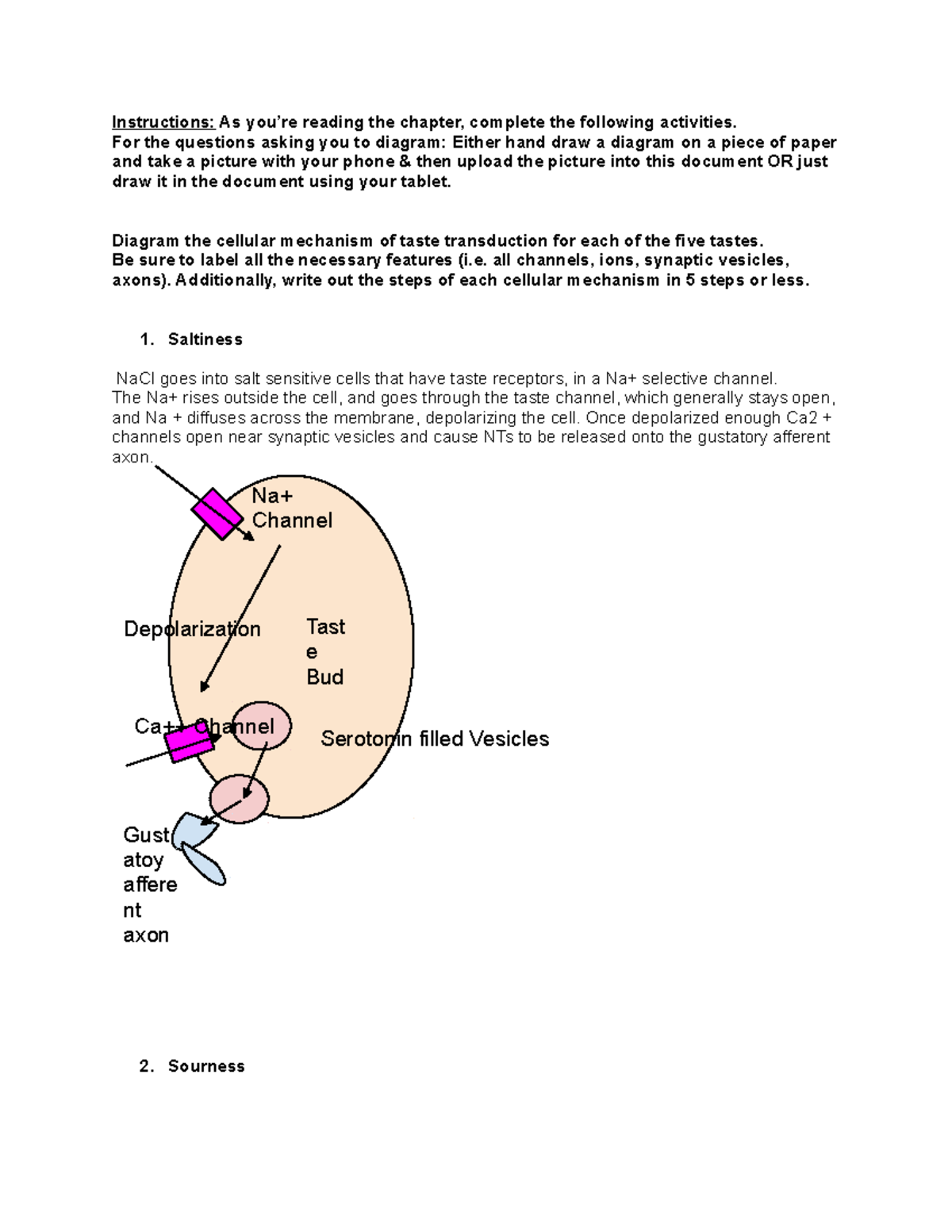 Chemical Senses Guided Reading Worksheet - Instructions: As you’re ...