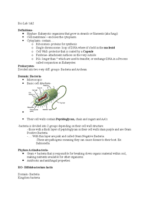 Lab 6 - Lab Notes - Biol 121 - Studocu