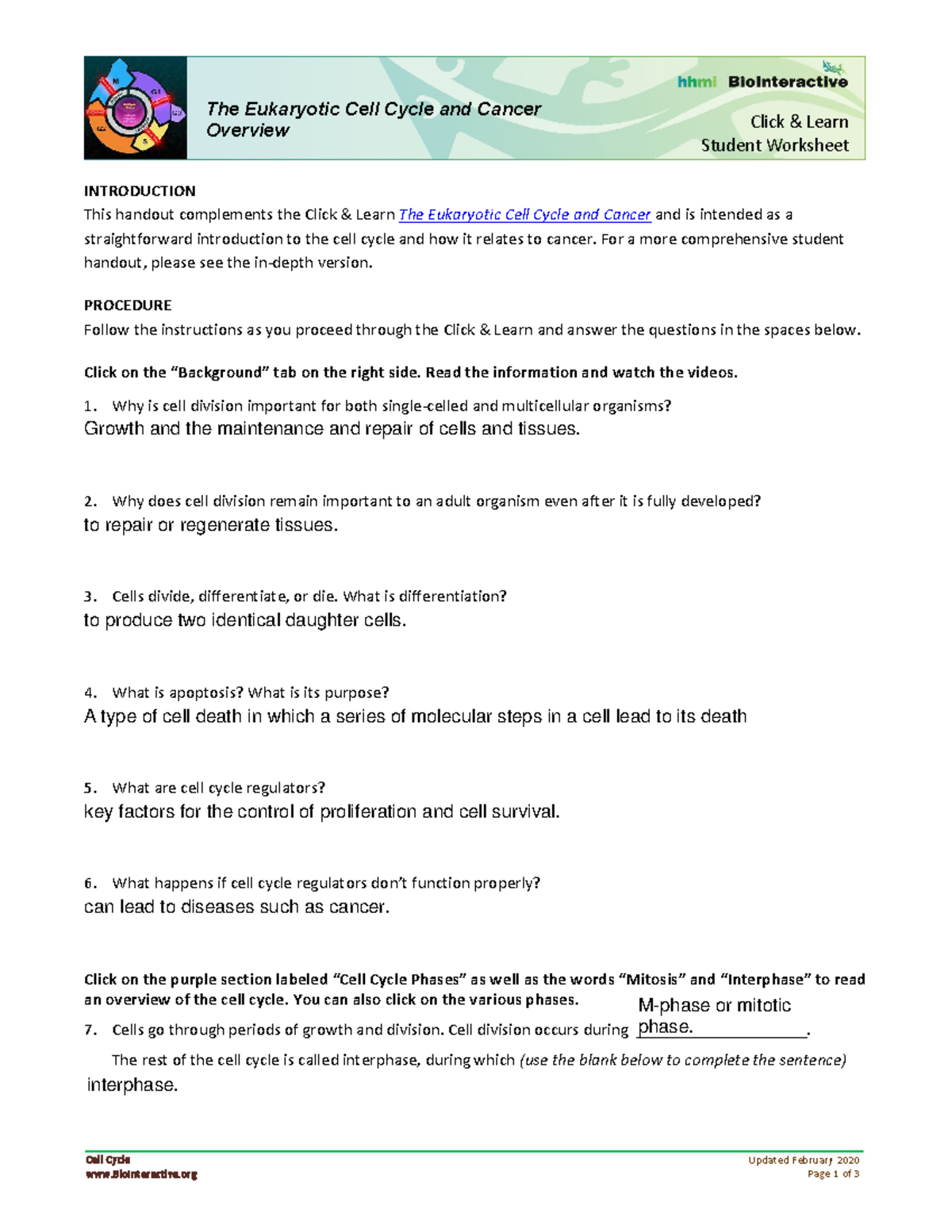 Cell Cycle Overview-Student WS-CL - Click & Learn Student Worksheet The ...