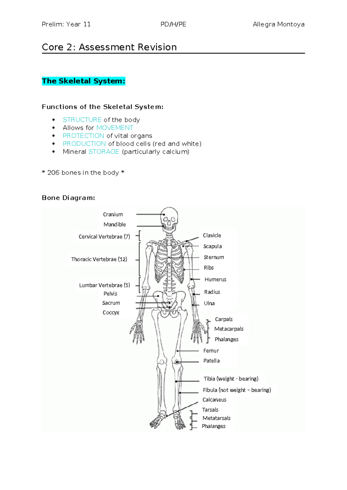 Core 2 - Body In Motion (Core 2) Syllabus Notes - Core 2: Assessment ...