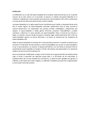 Hidrocolpos. Embriología básica. - Warning: TT: undefined function: 32 ...