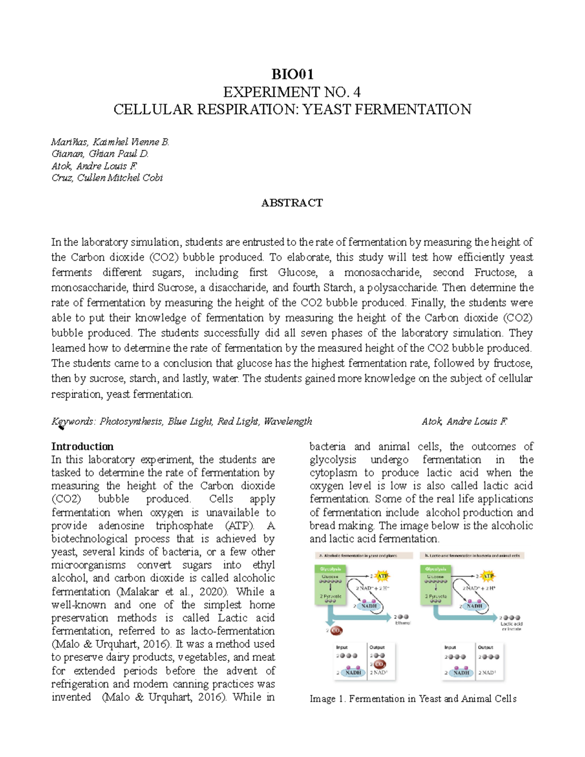 CO6.2 Laboratory Report - BIO EXPERIMENT NO. 4 CELLULAR RESPIRATION ...