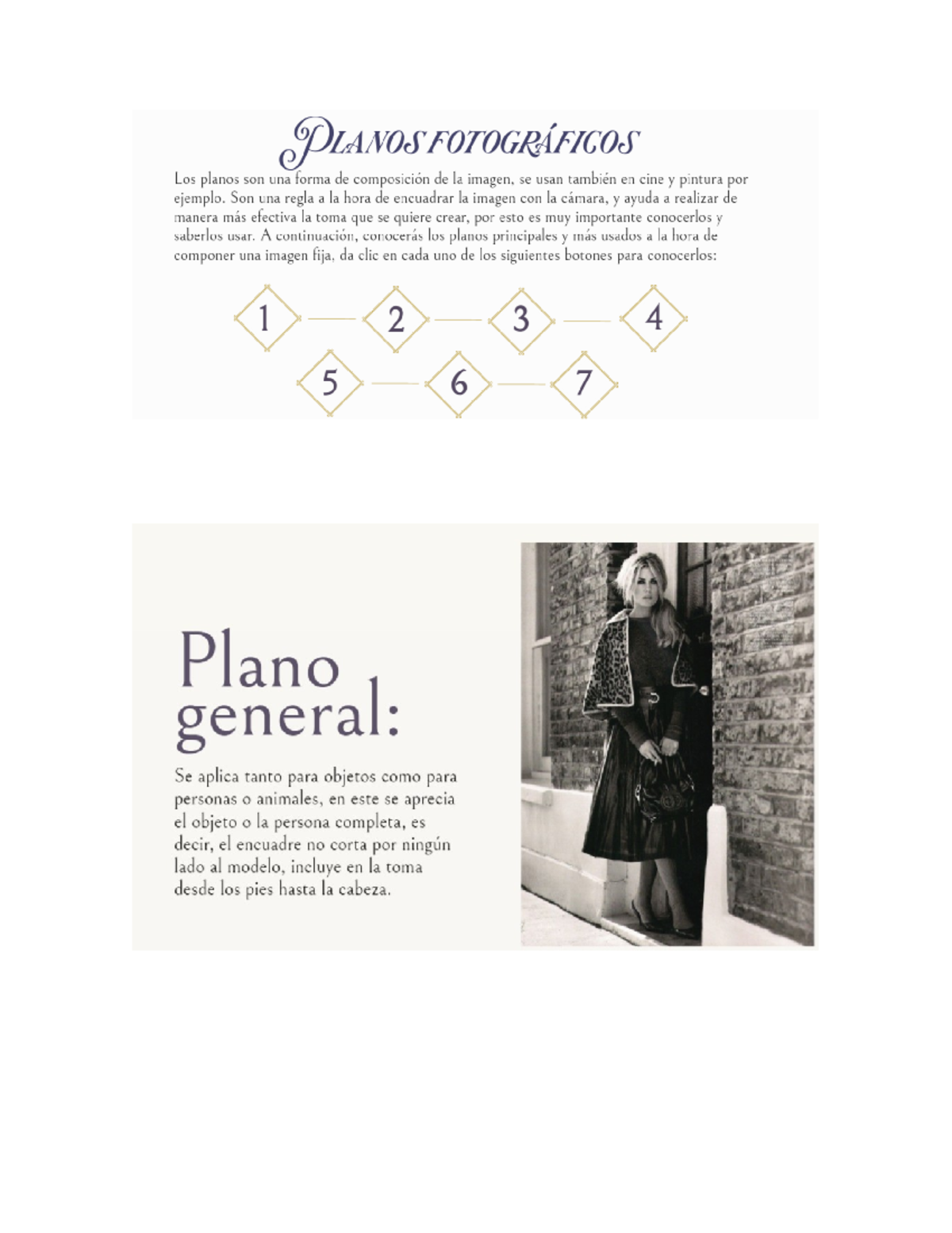 Artistica fotografia - Un primer plano es un enfoque cercano en una ...