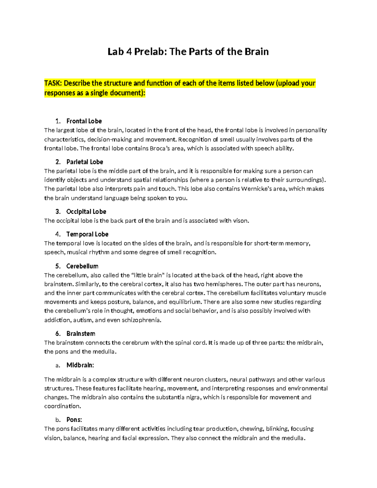 Lab 4 Prelab - The Parts of the Brain - Lab 4 Prelab: The Parts of the ...