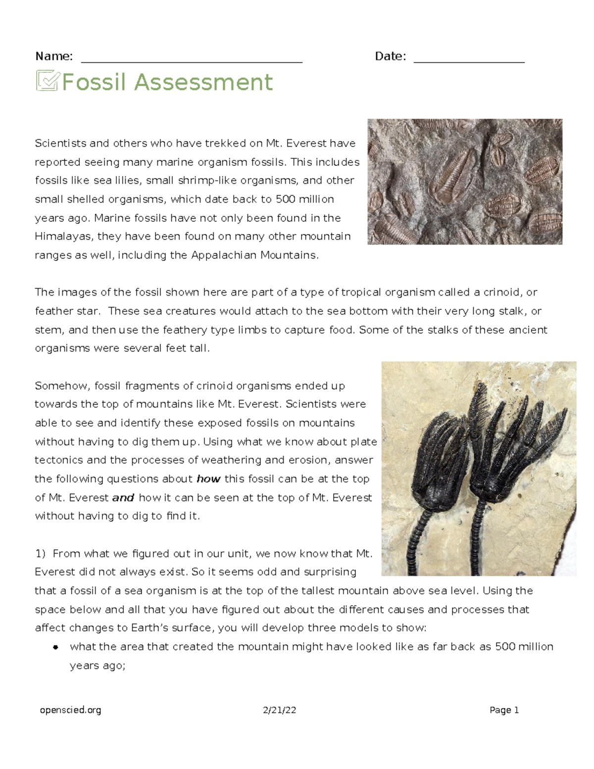 6.4 Lesson 14 Assessment Fossil Assessment - Name