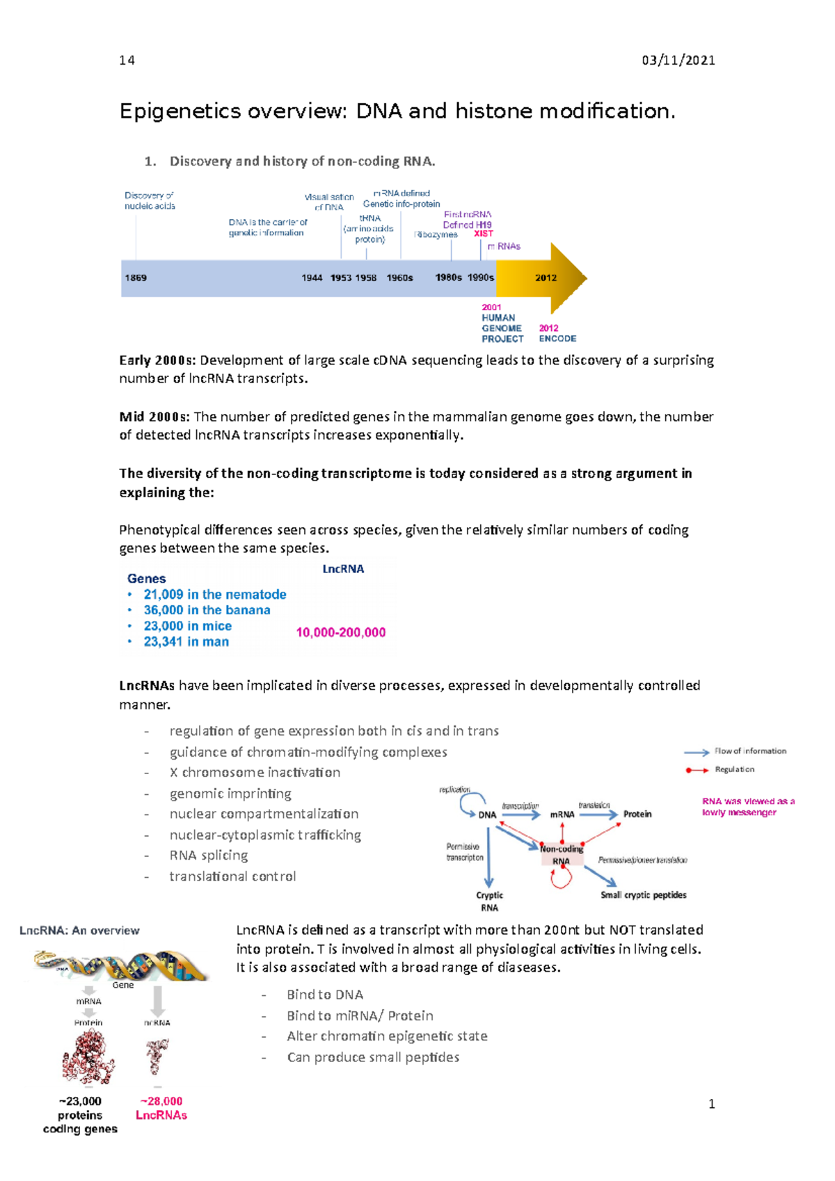 Long non-coding RNAs - Epigenetics overview: DNA and histone ...