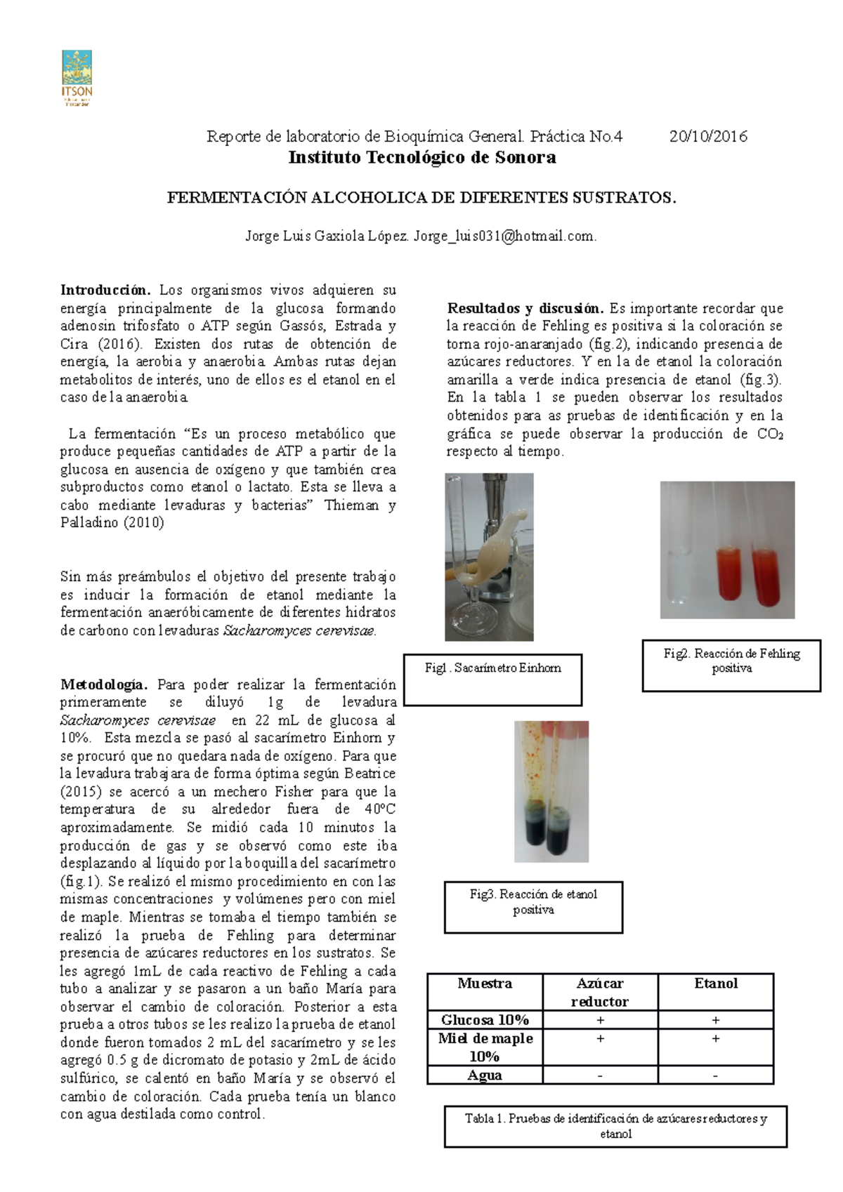 Reporte Bioquimica 4 Fermentación Reporte De Laboratorio De