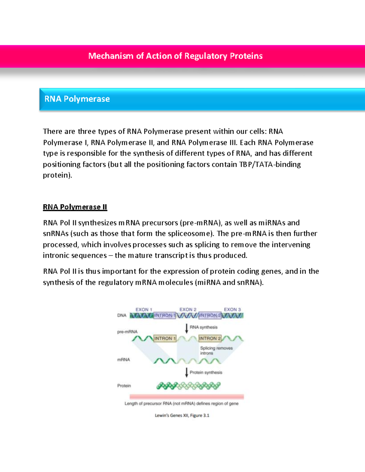Lecture 5 - There are three types of RNA Polymerase present within our ...
