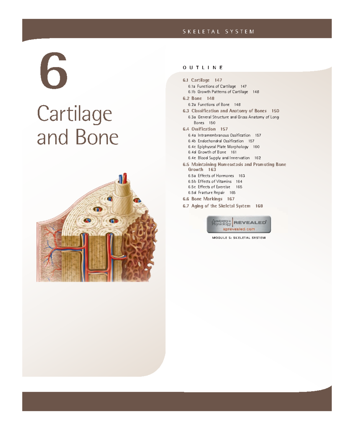 6. Cartilage and Bone - Lecture notes - MODULE 5: SKELE TAL SYSTEM O U ...