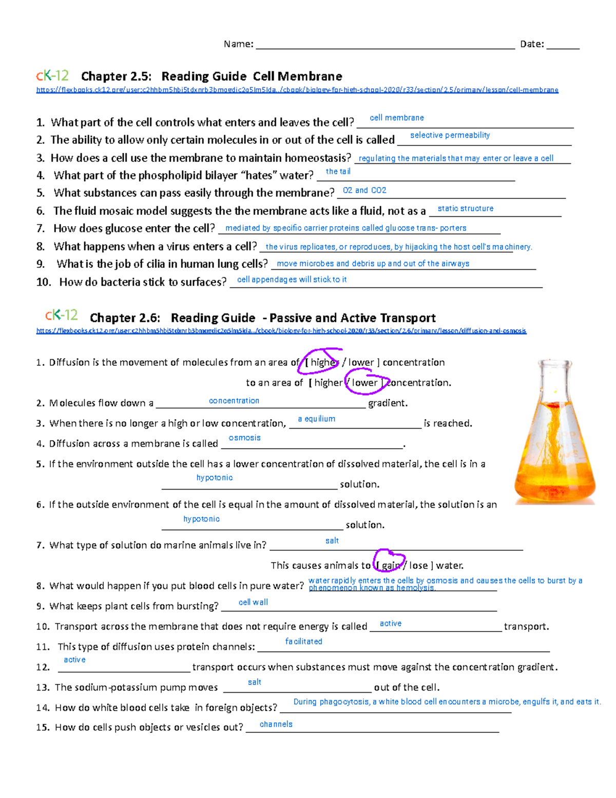 Kami Export - CP H Reading Guide Diffusion and Osmosis CK12 2 - Name ...
