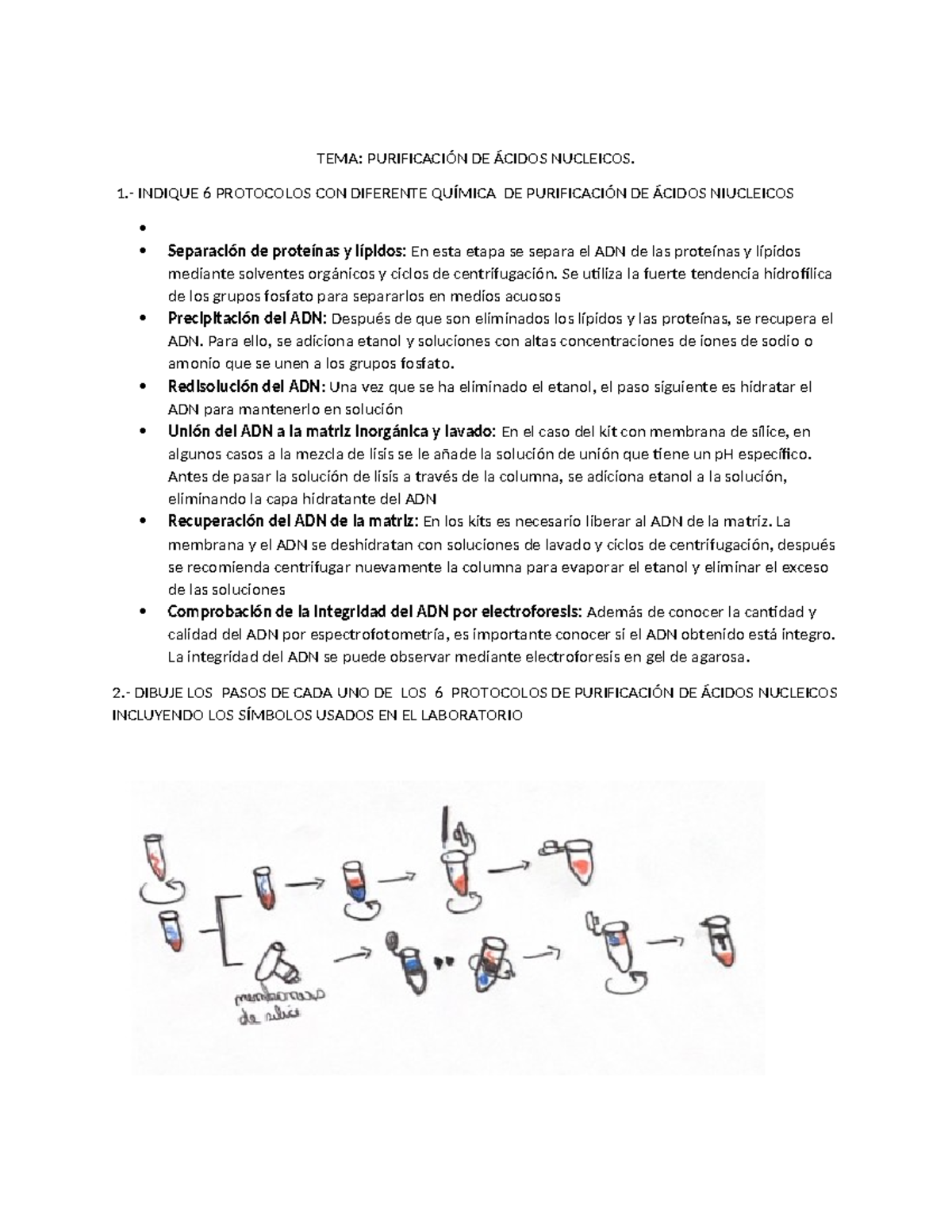 1 Tarea BIO- 2P - Les ayudara - TEMA: PURIFICACIÓN DE ÁCIDOS NUCLEICOS ...
