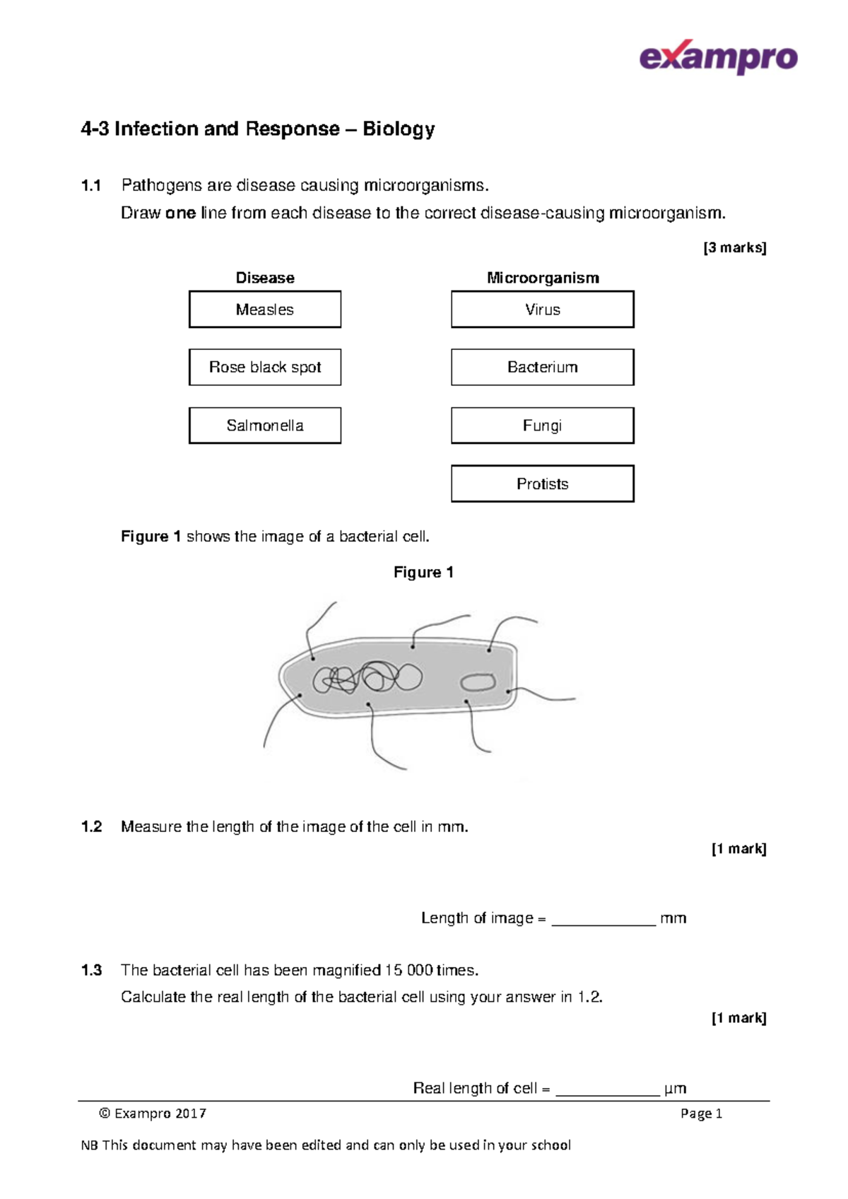 Biology Separate Infection and response - © Exampro 2017 Page 1 4 - 3 ...