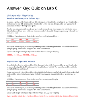ACtivity 1.2.1 Worksheet - 1.2. Anatomy of an Autopsy Steps of an ...