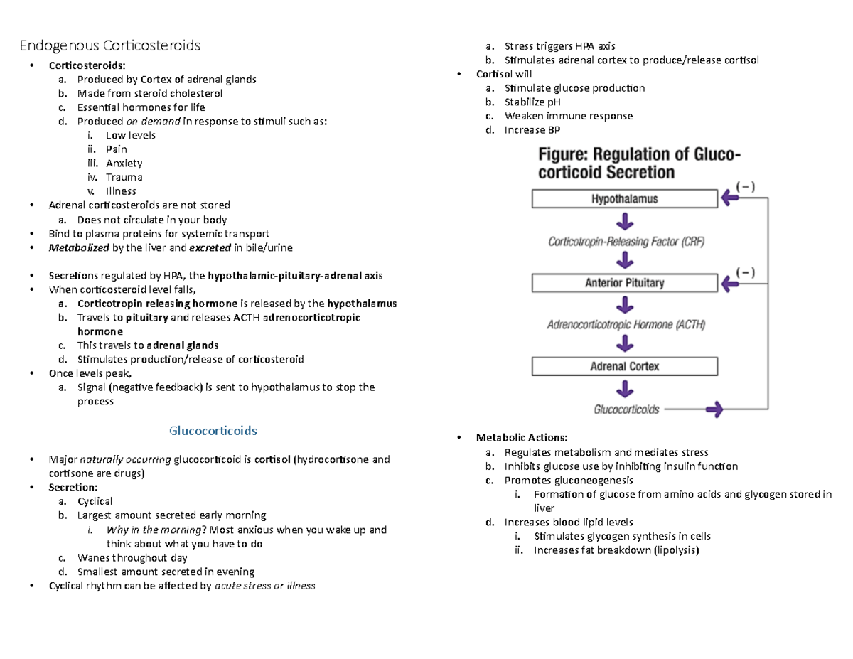 Pharm Test 1 - Endogenous & Exogenous Corticosteroids, Thyroid ...