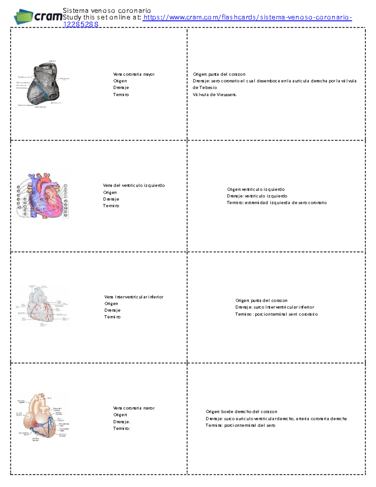 Venas cardiacas. Flash Cards - Vena coronari a mayor Ori gen D renaj e ...