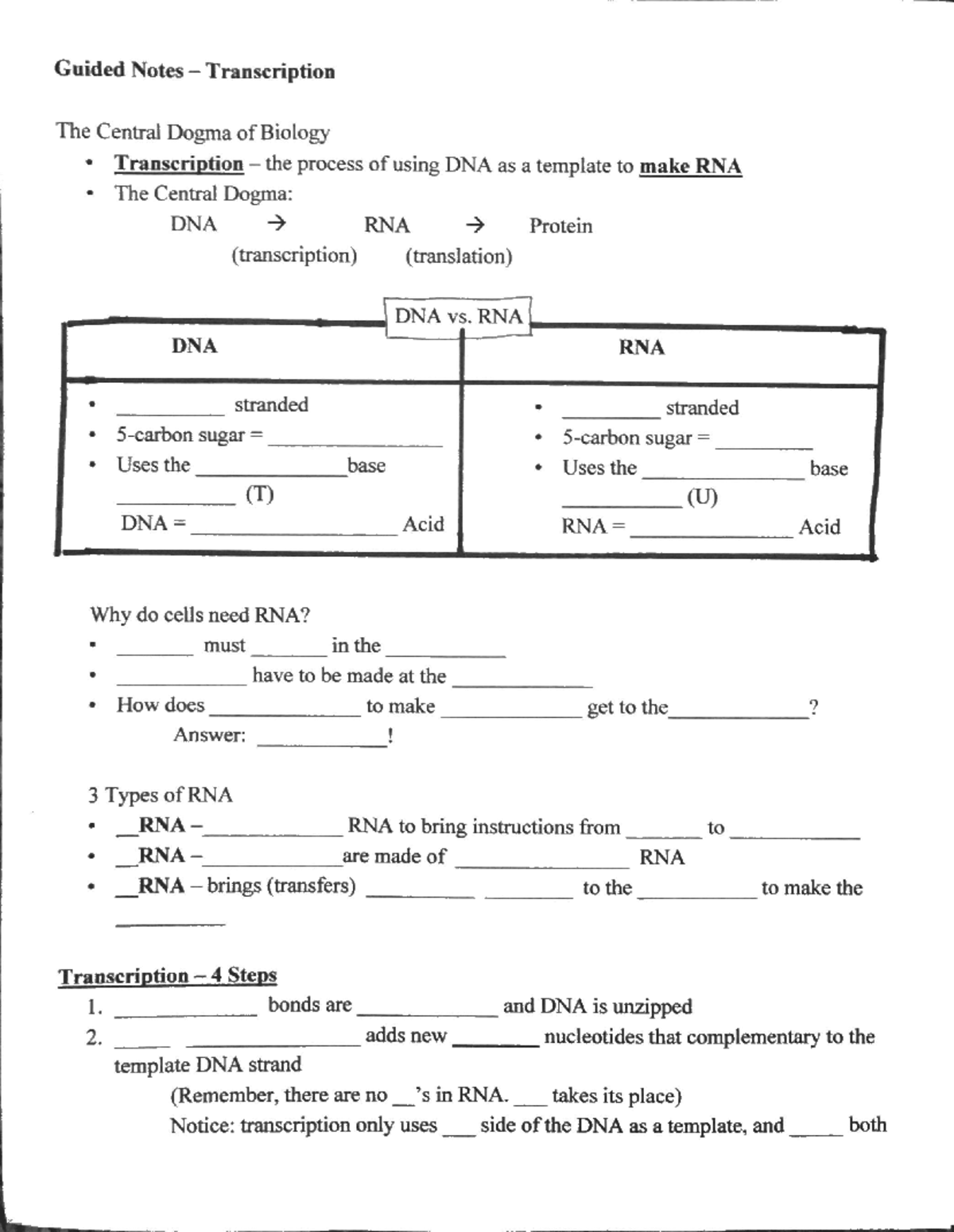 RNA & Transcription Notes - Studocu
