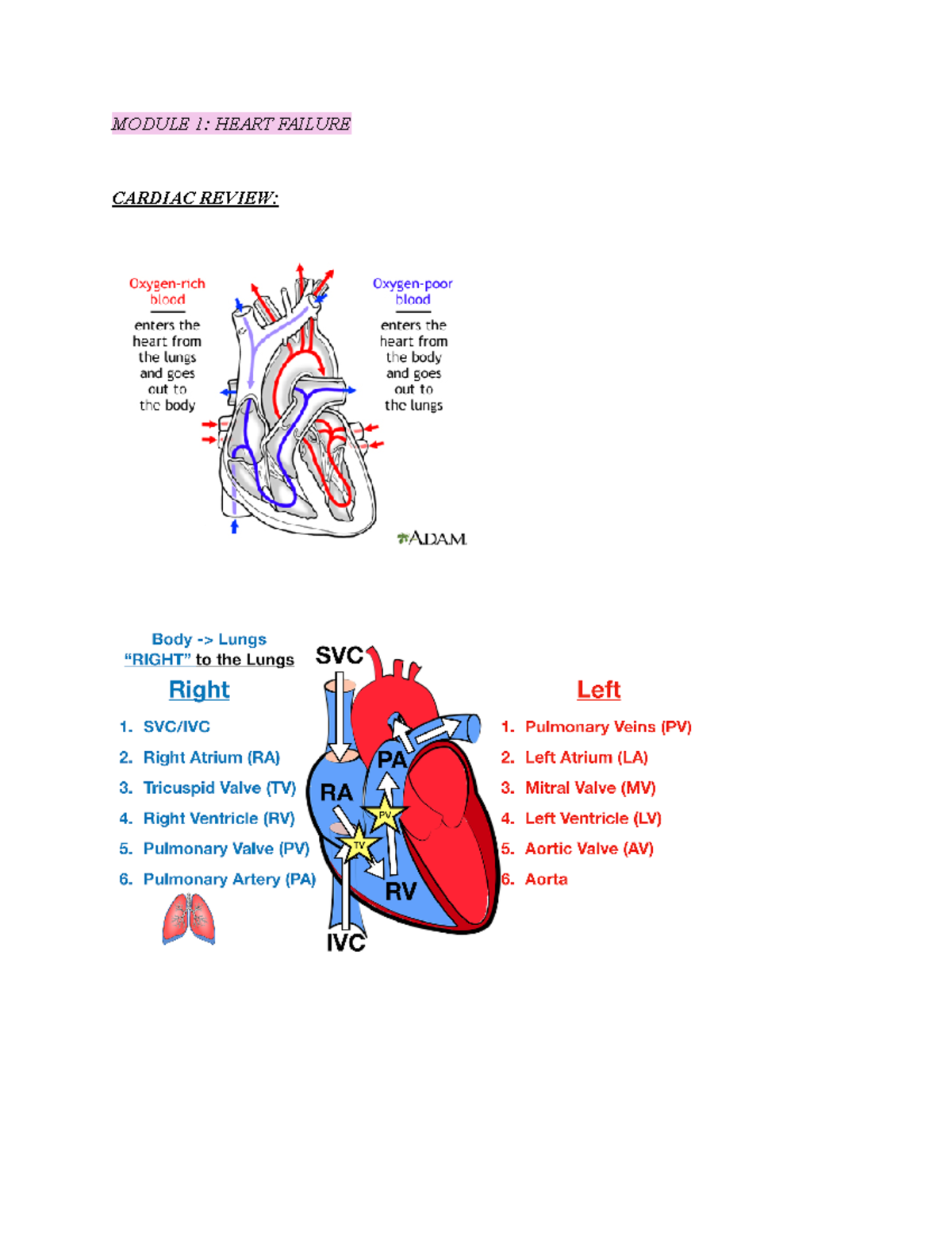 HV4 Learning Guides - Google Docs - MODULE 1: HEART FAILURE CARDIAC REVIEW: Identify the causes ...