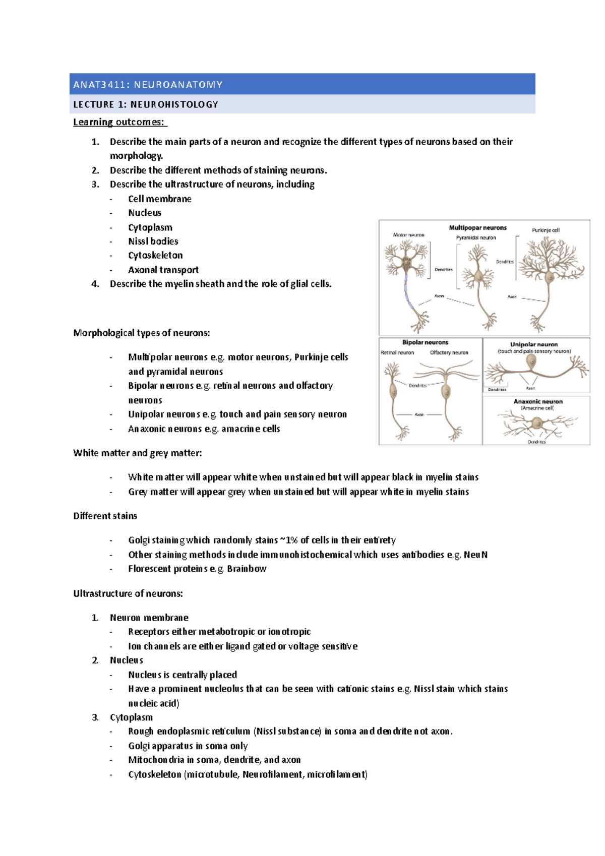 Anat3411 lecture notes for week 1-3 - ANAT3411: NEUROANATOMY LECTURE 1 ...