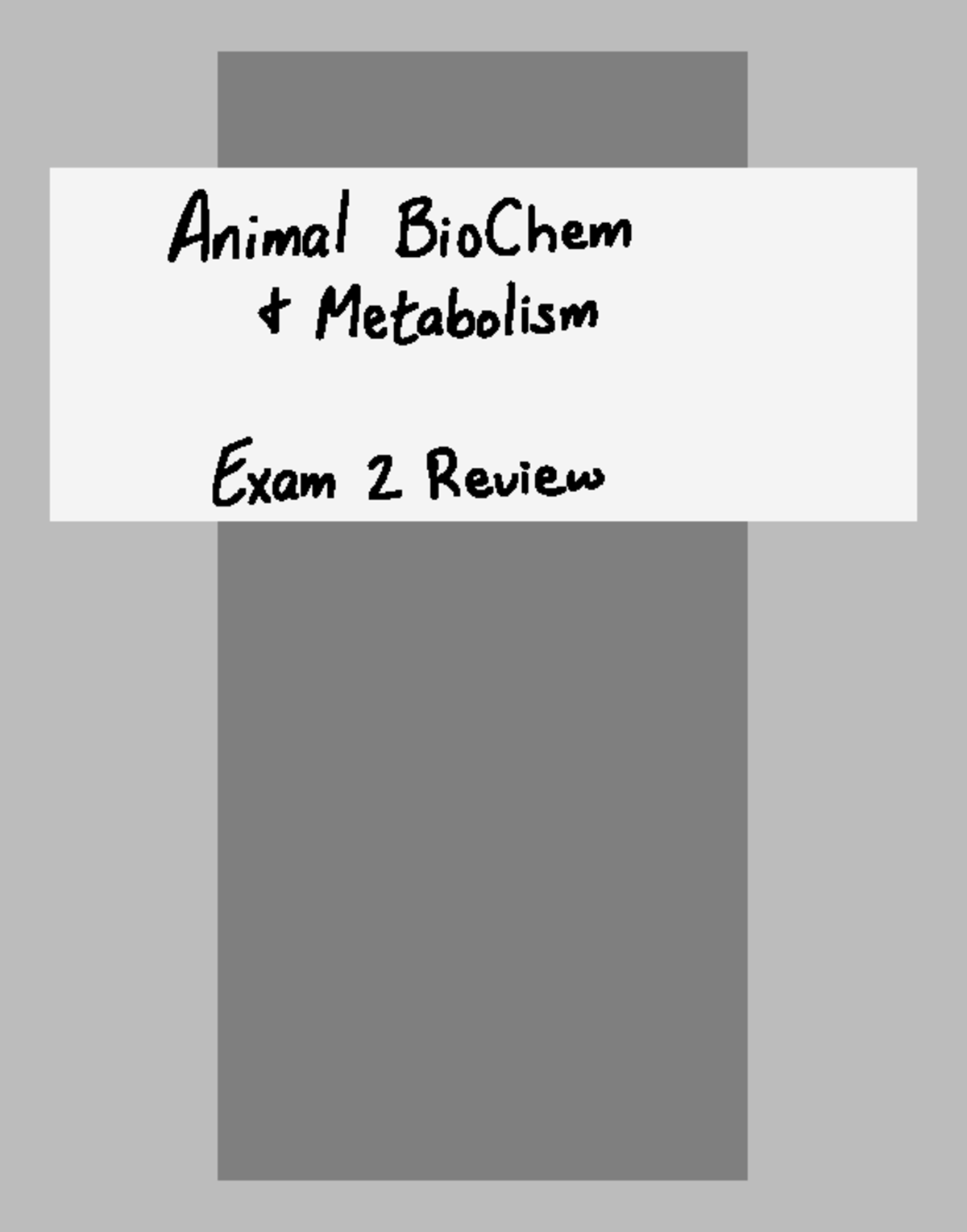 Exam 2 Material Warning Error During Font Loading Xmlrequest Is