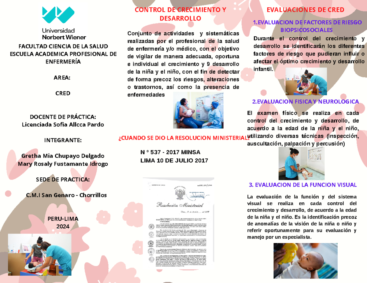 Triptico CRED - La evaluación de la función y del sistema visual se realiza en cada control del ...