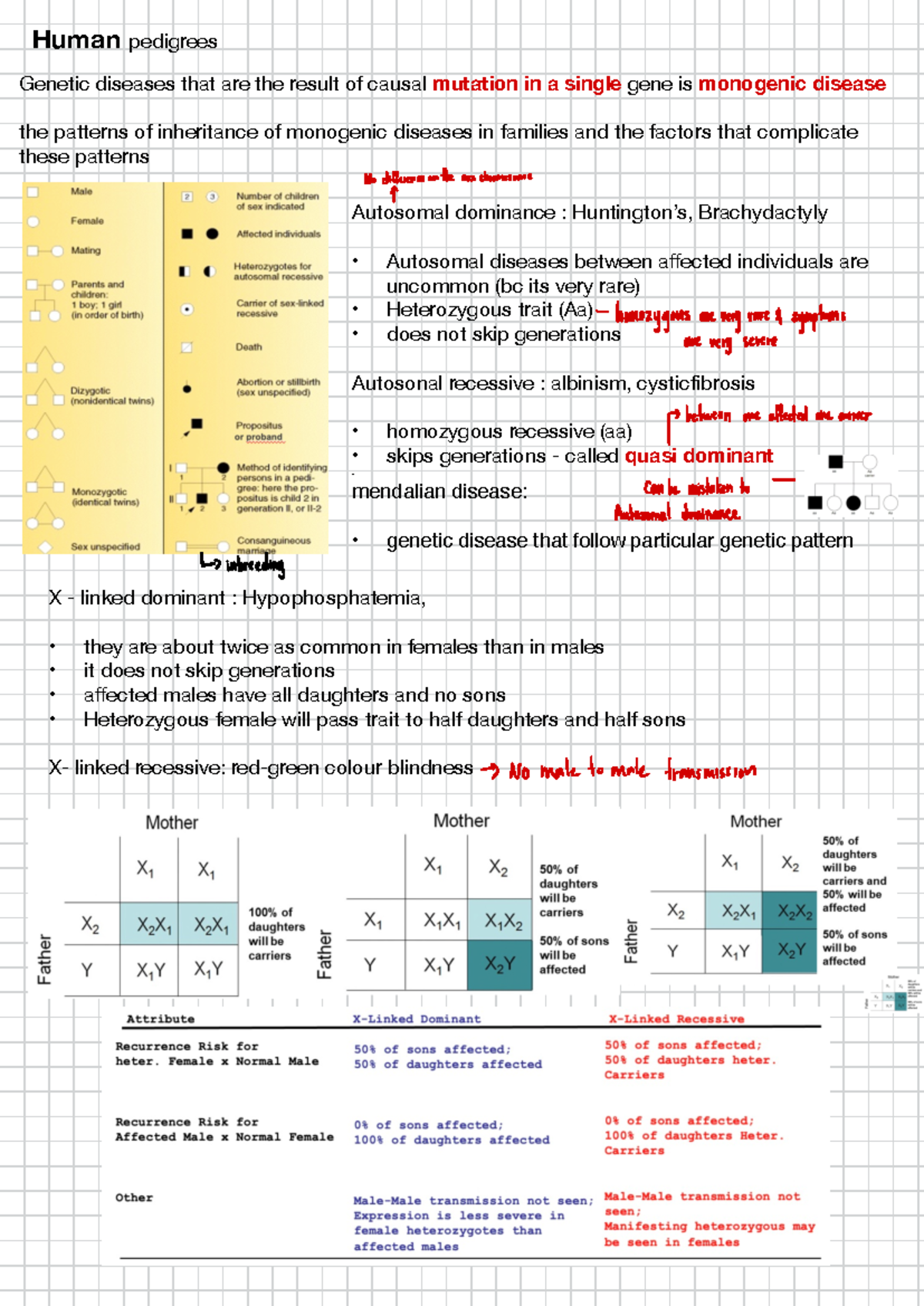 Genetics (Biol0010) - Human pedigrees Genetic diseases that are the ...