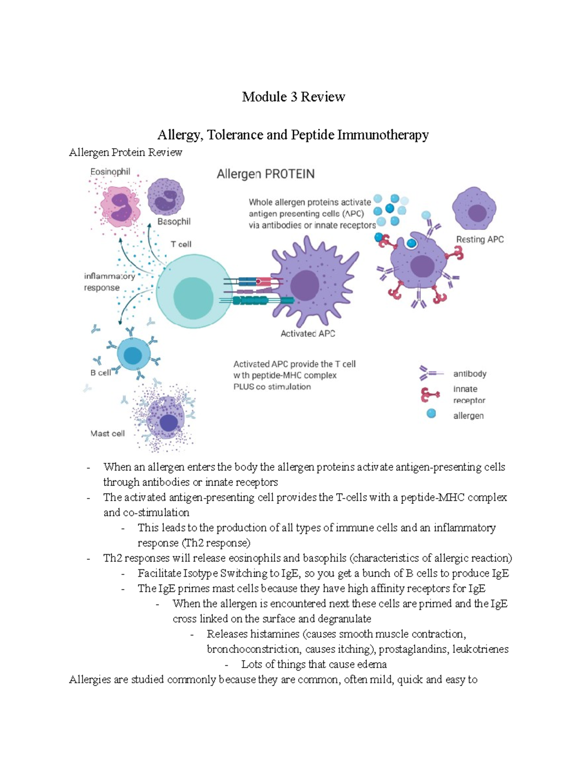 Module 3 Review - Module 3 Review Allergy, Tolerance and Peptide ...