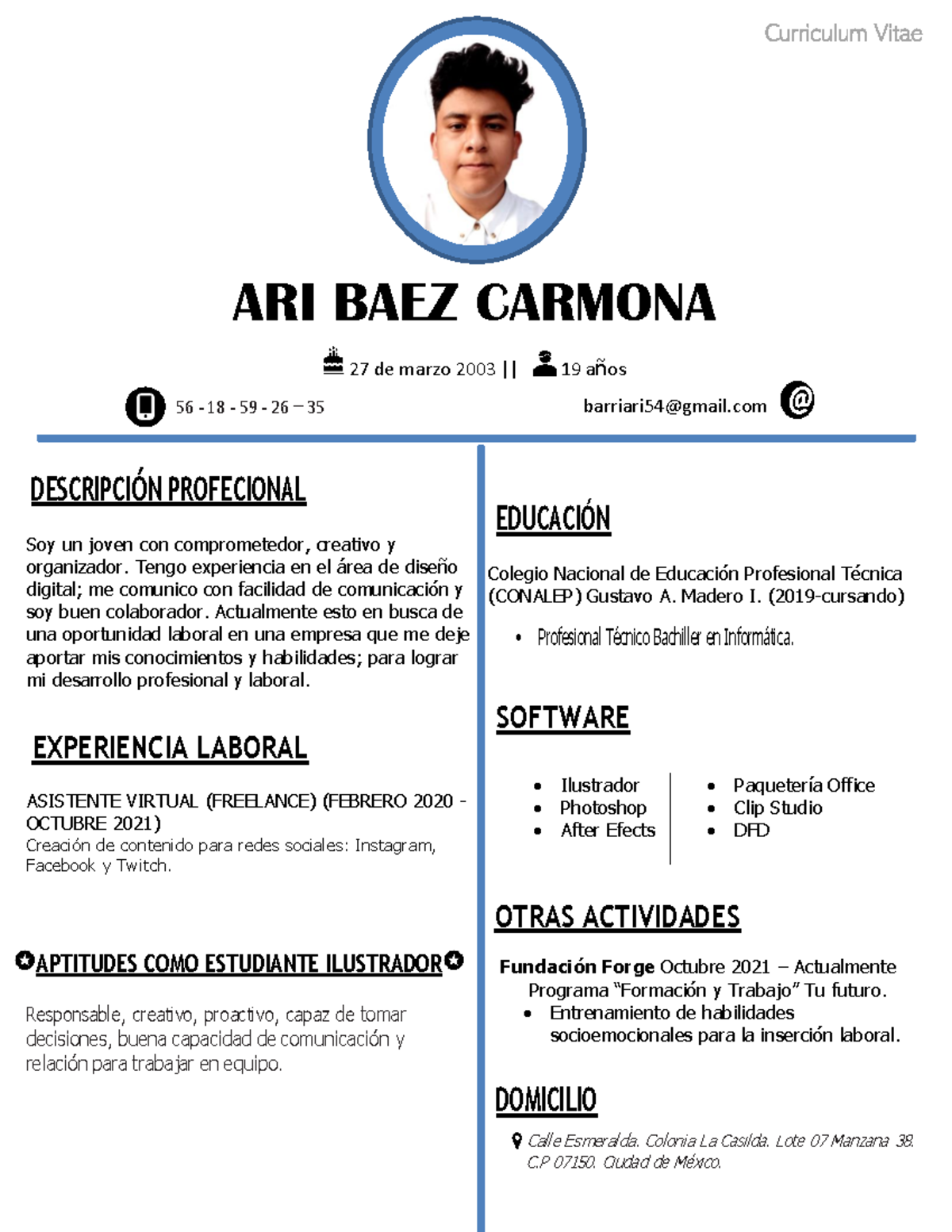 BAEZ Carmona ARI CV-final - Curriculum Vitae ARI BAEZ CARMONA 27 de ...