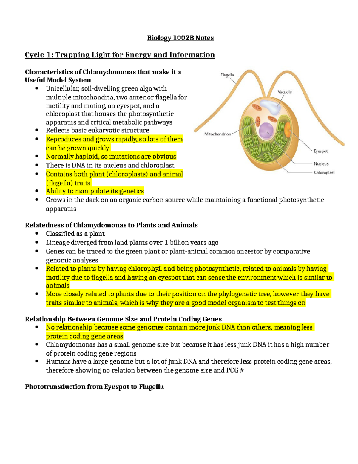 Biology 1002B Notes - description - Biology 1002B Notes Cycle 1 ...