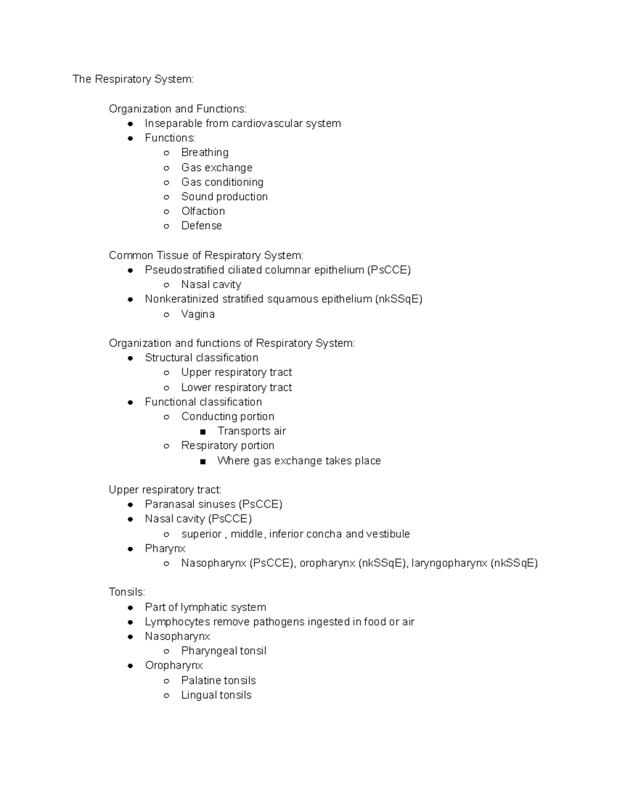 Lecture 4 - notes on anatomy - The Respiratory System: Organization and ...