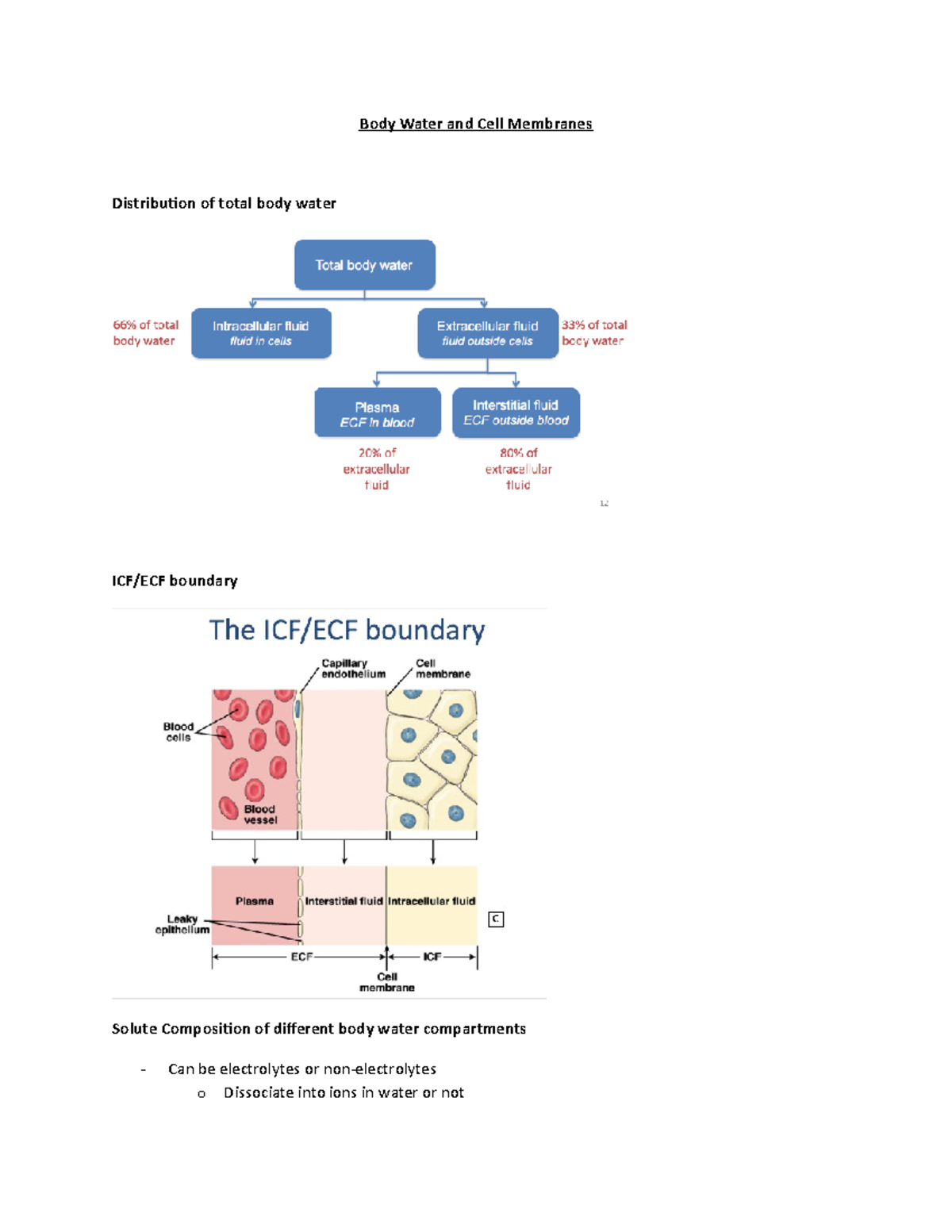 Body Water and Cell Membranes - Body Water and Cell Membranes ...