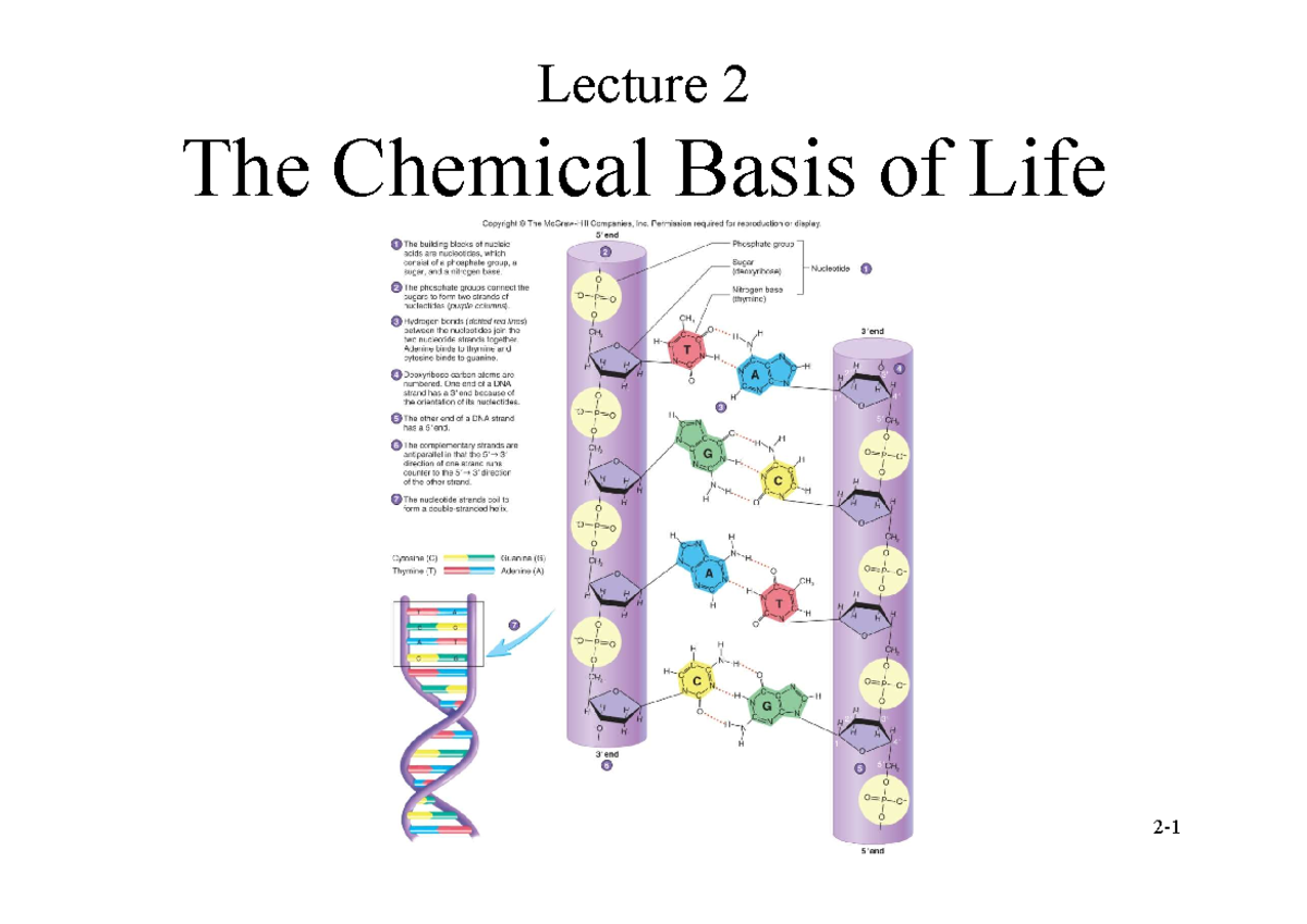 BMS161 Lecture 02 2020 - Lecture 2 The Chemical Basis of Life 2 Basic ...